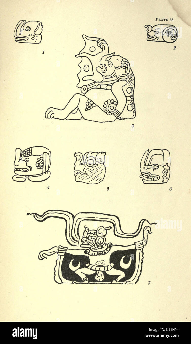 Animal figures in the Maya codices (Plate 38) BHL41003990 Stock Photo ...