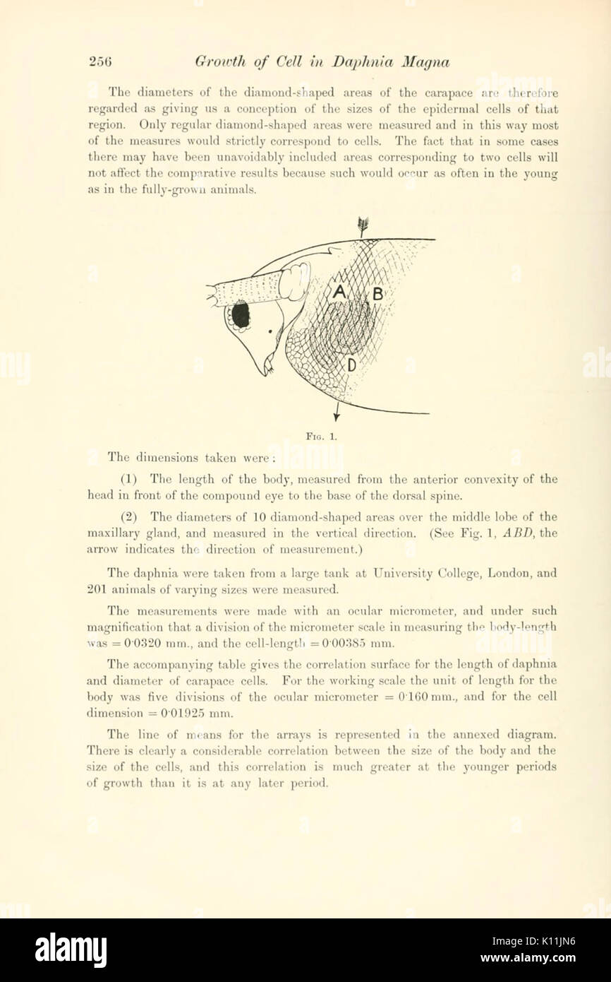 Biometrika hi-res stock photography and images - Alamy