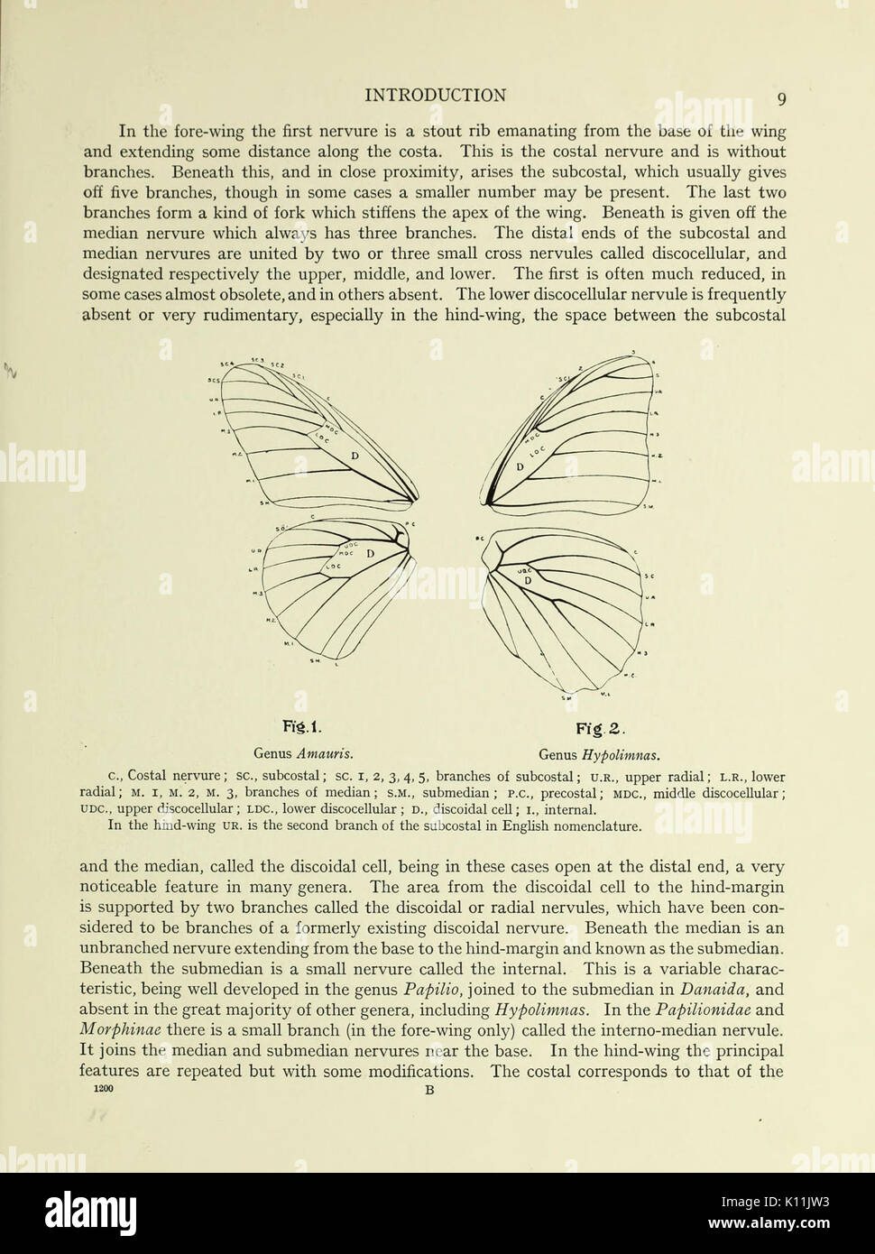 Mimetic art hi-res stock photography and images - Alamy