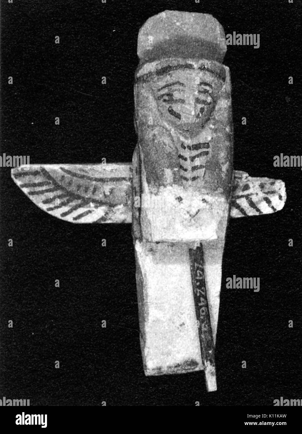 Ba bird Black and White Stock Photos & Images - Alamy