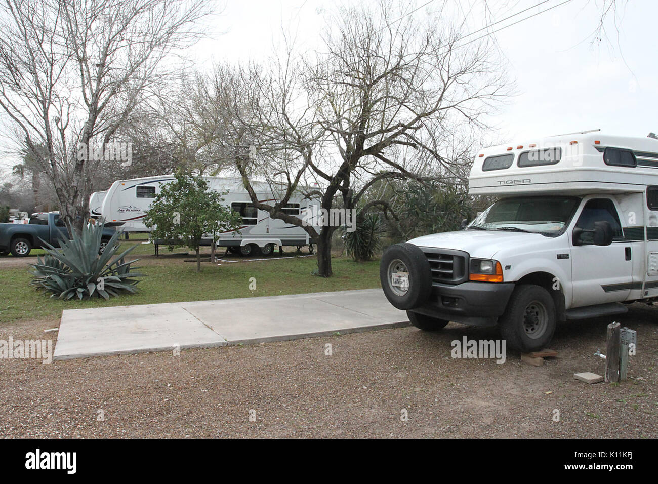 Americana RV Park has better trees and birding potential than most ...