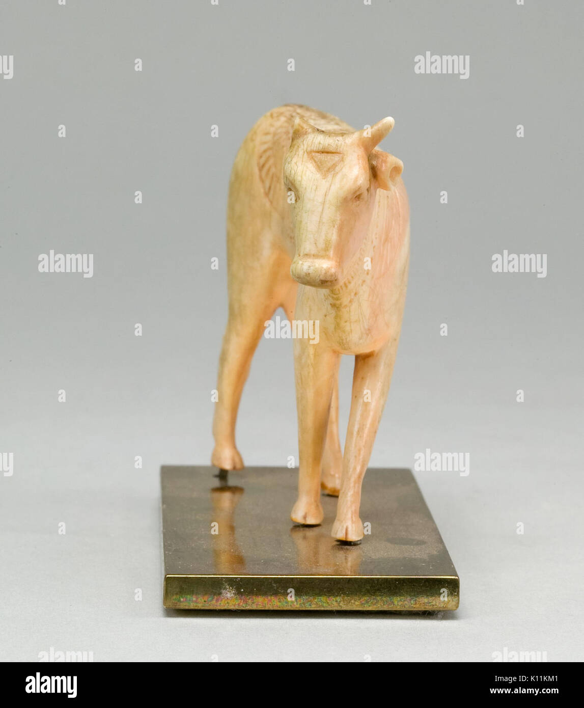 Bestiary bull hi-res stock photography and images - Alamy