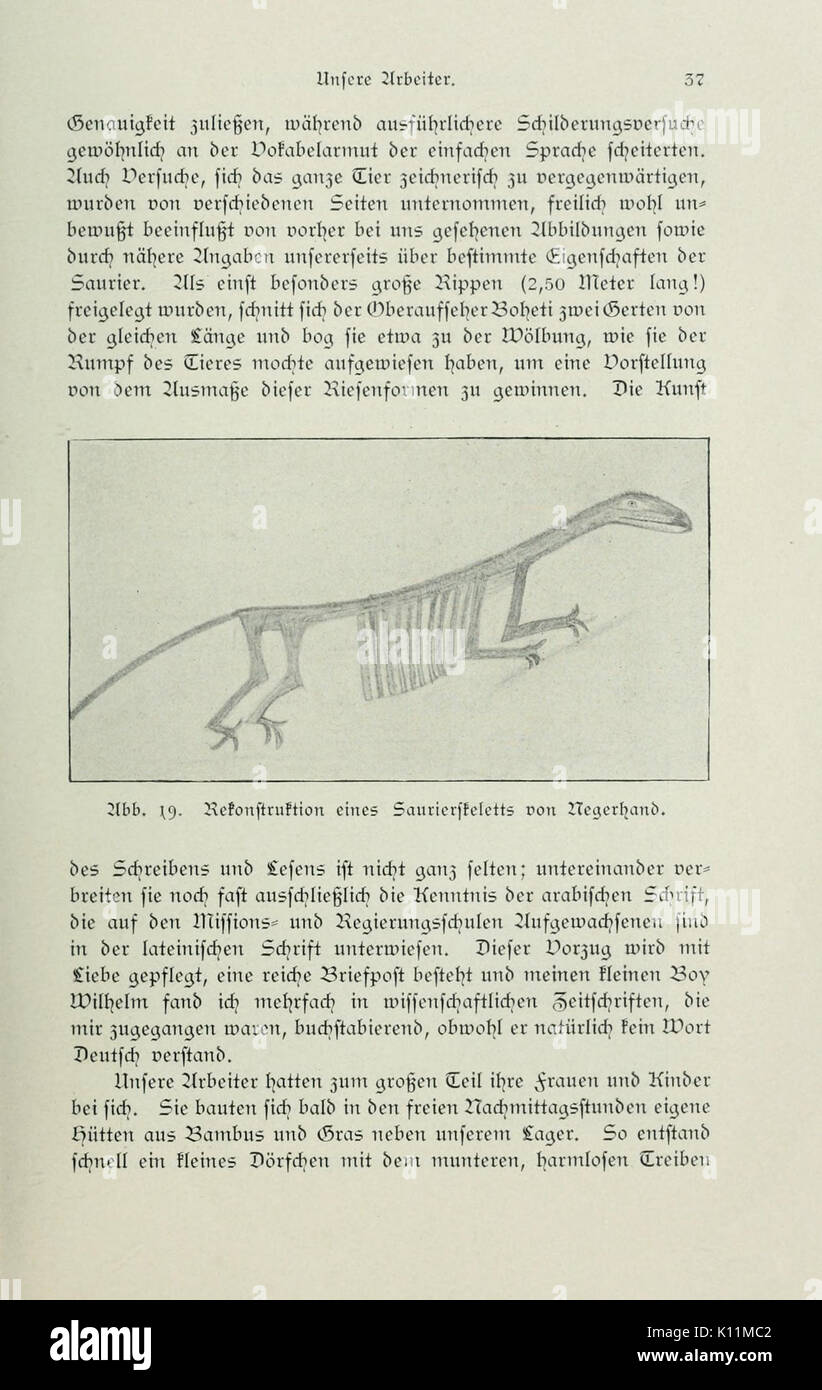 Tendaguru hi-res stock photography and images - Alamy