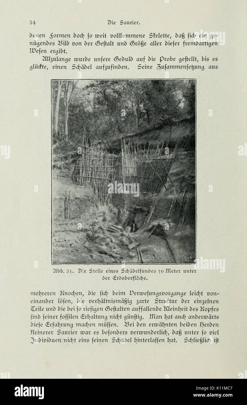 Tendaguru tanzania hi-res stock photography and images - Alamy