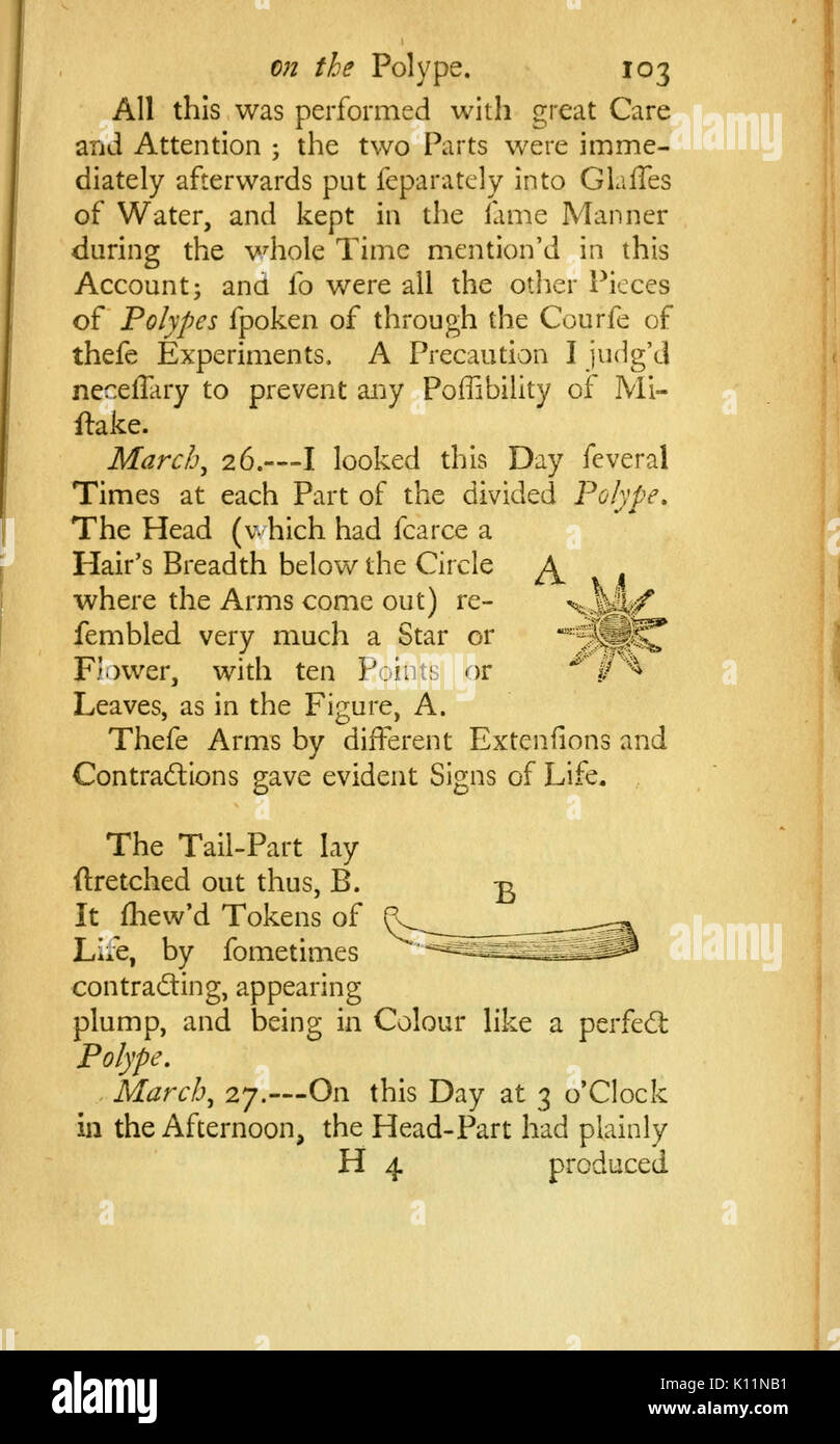 This page from 'An Attempt Towards a Natural History of the Polype ...