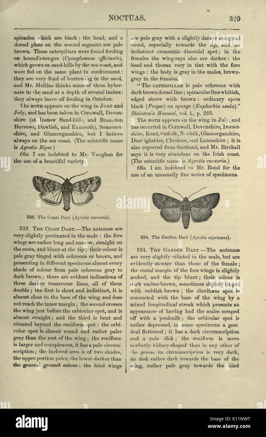 An illustrated natural history of British butterflies and moths (Page ...