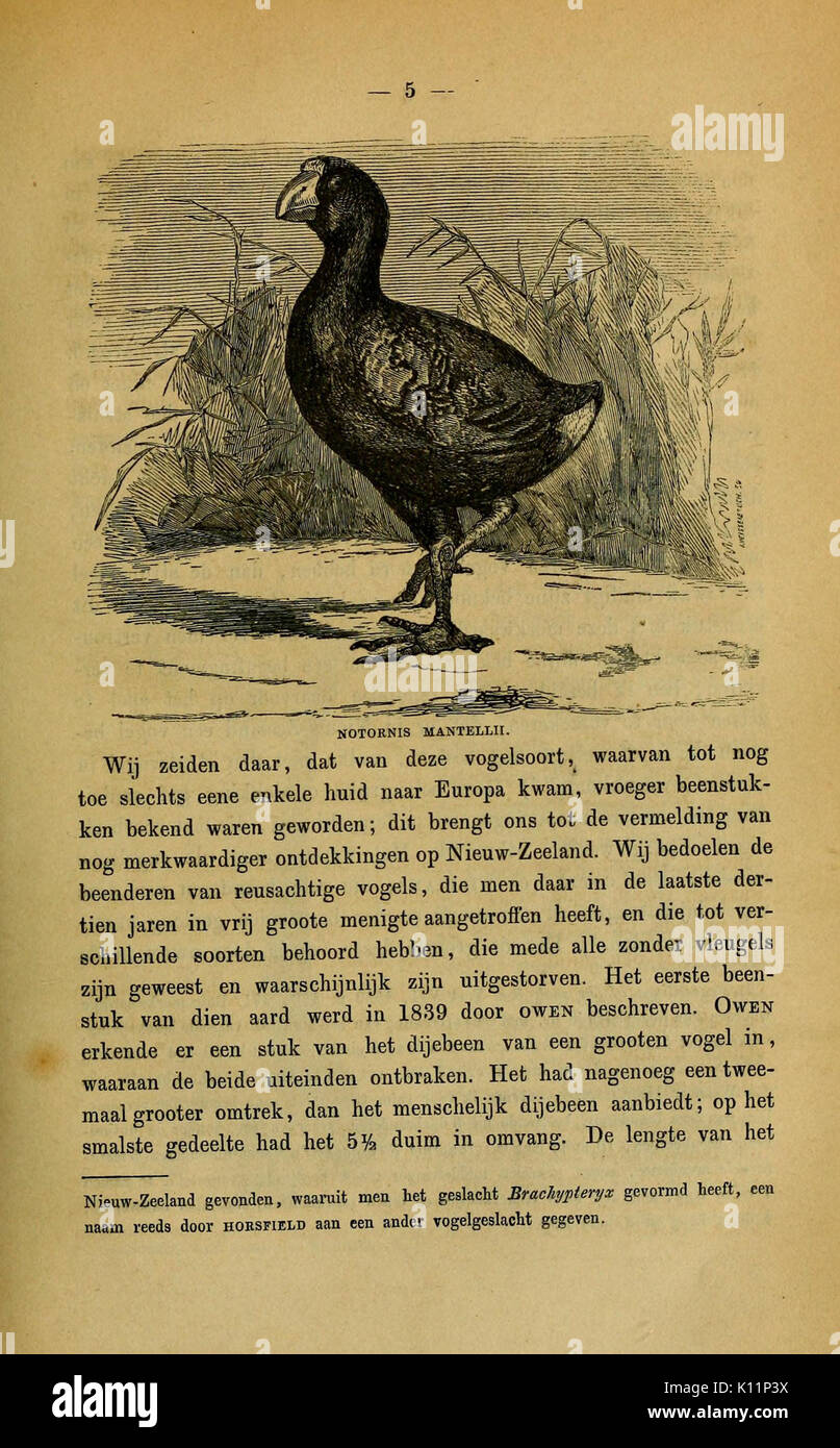 'Album der Natuur' is a scientific book documenting various natural ...