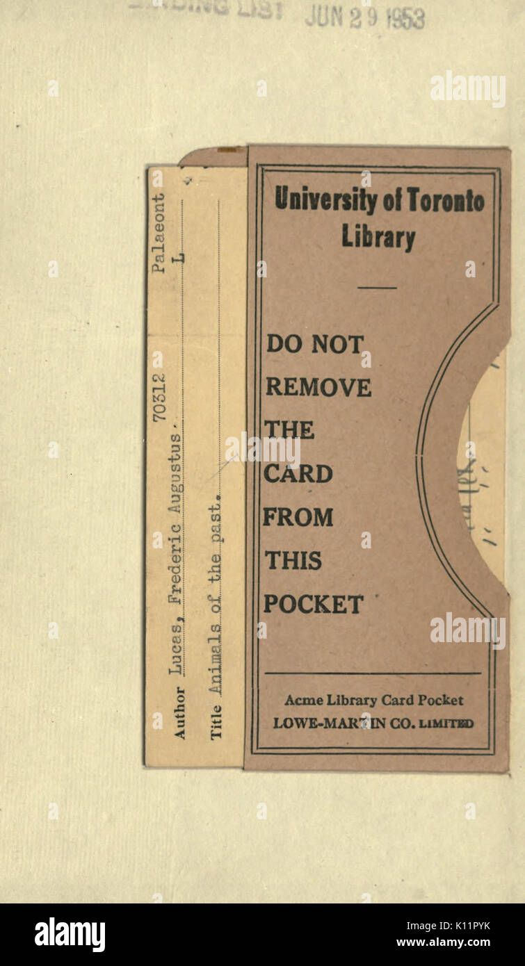 Prehistory fossils fossilization animals hi-res stock photography and ...