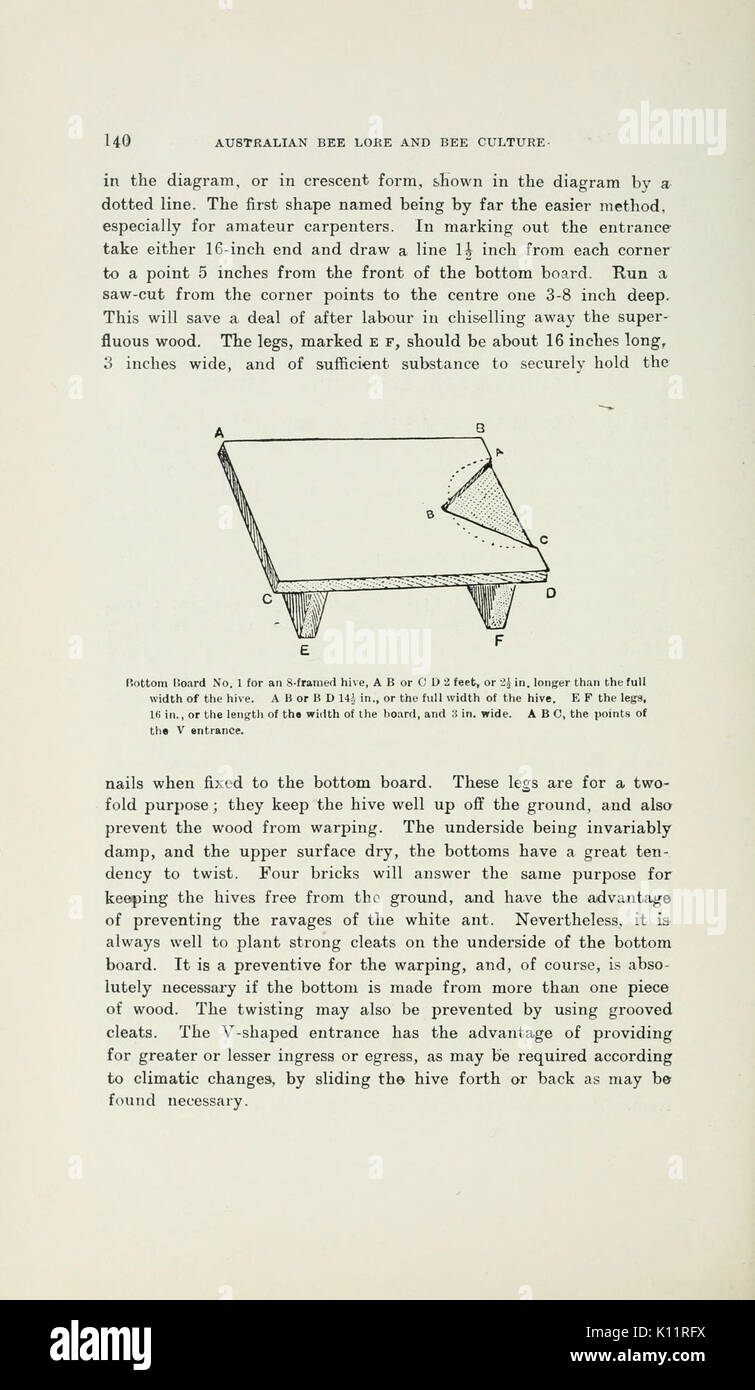 Indigenous bee species hi-res stock photography and images - Alamy