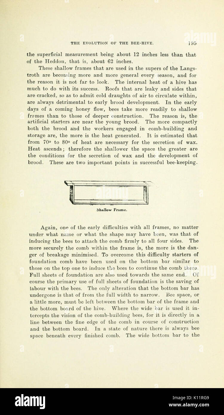 Australian native bee hive hi-res stock photography and images - Alamy