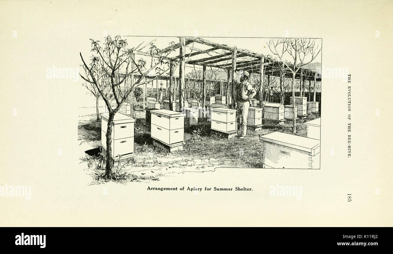 Australian food traditions hi-res stock photography and images - Alamy