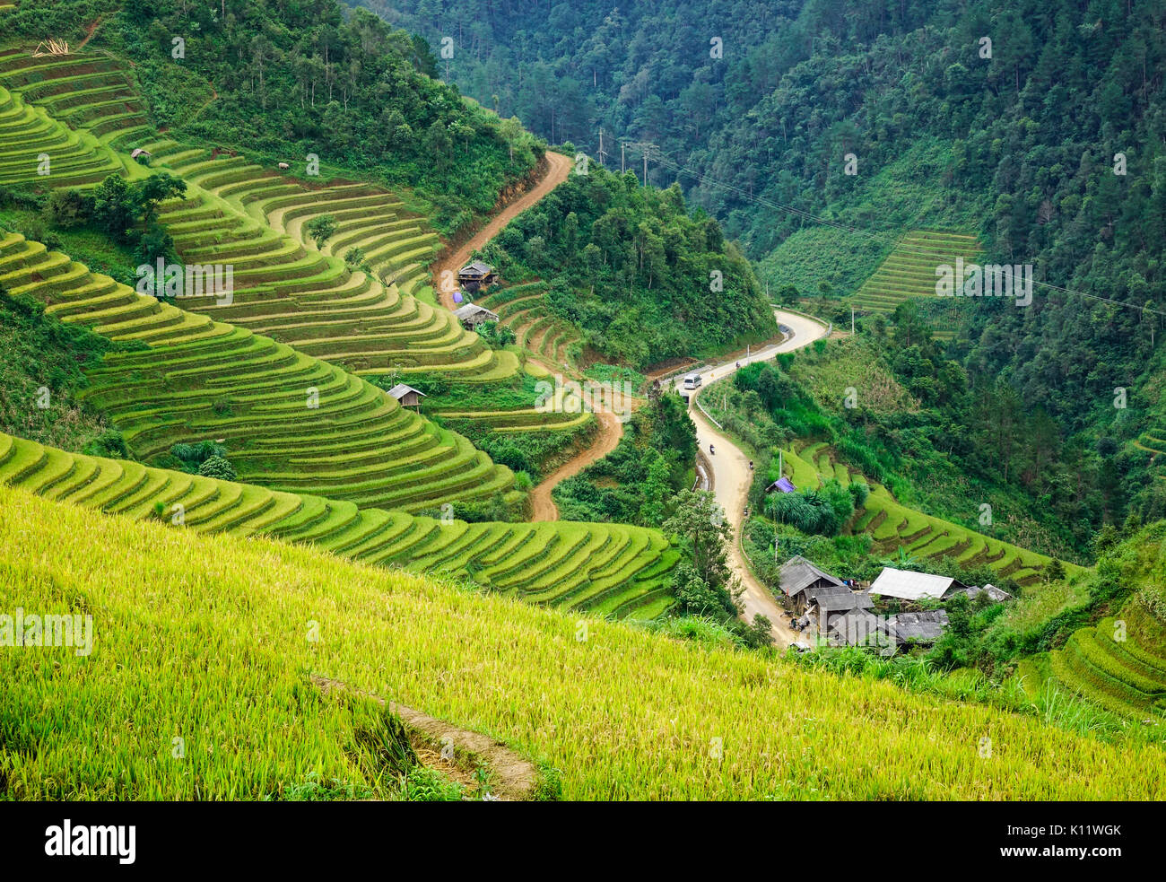 Many terraced rice fields with Hmong village in Sapa, Northern Vietnam ...