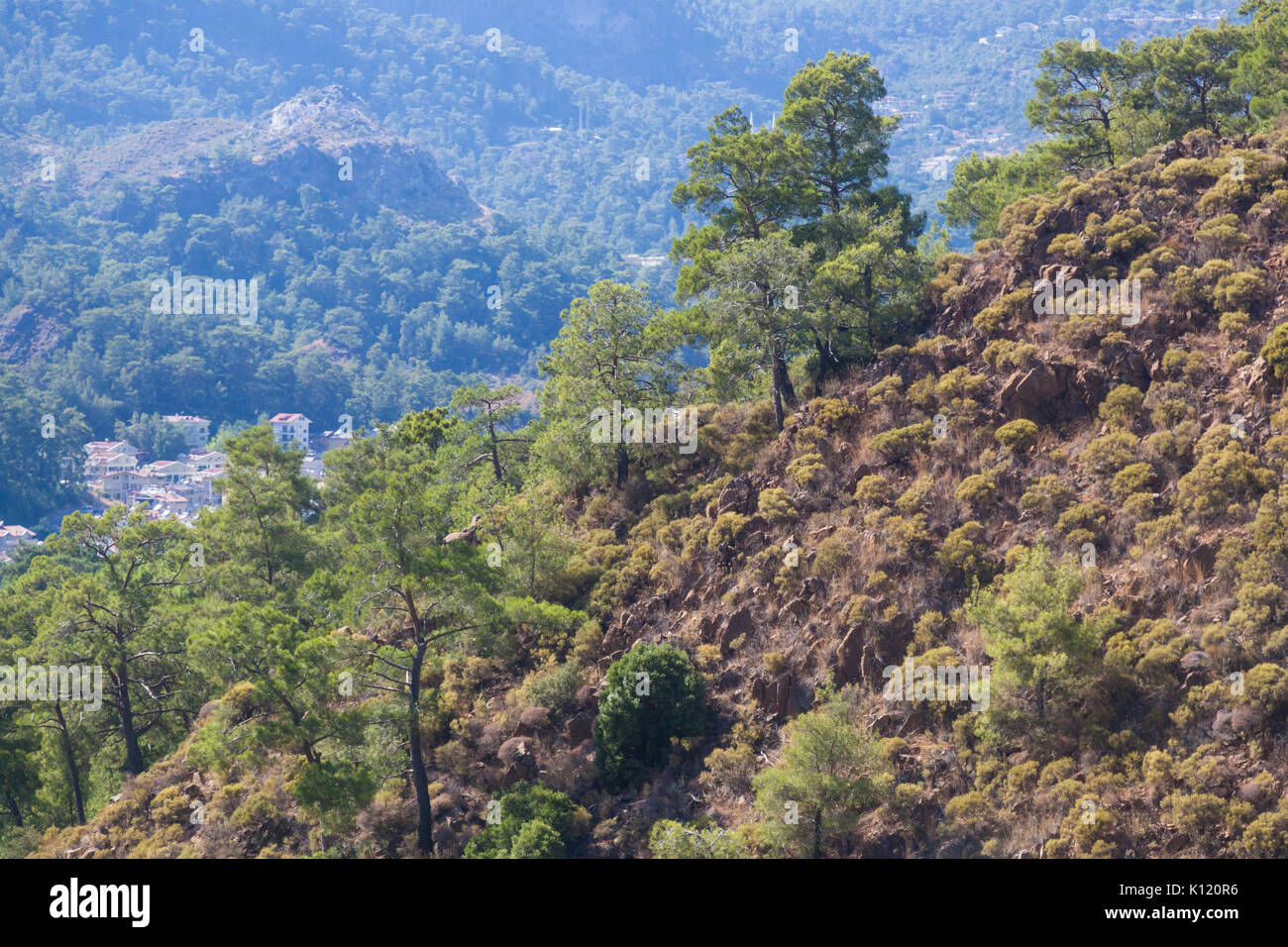 Slopes of mountains in the vicinity of Marmaris, Turkey Stock Photo - Alamy