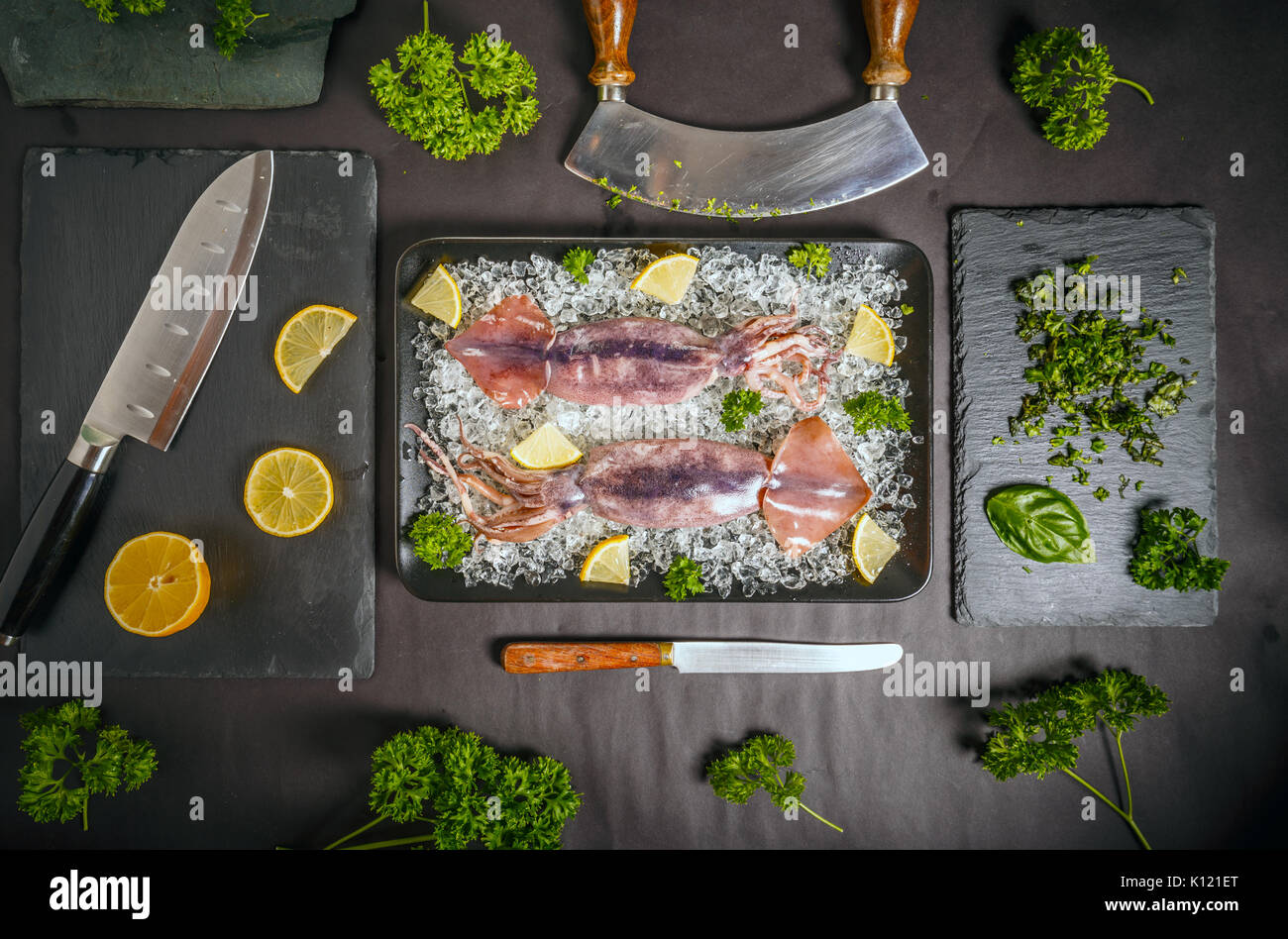 Cuttlefish closeup hi-res stock photography and images - Alamy