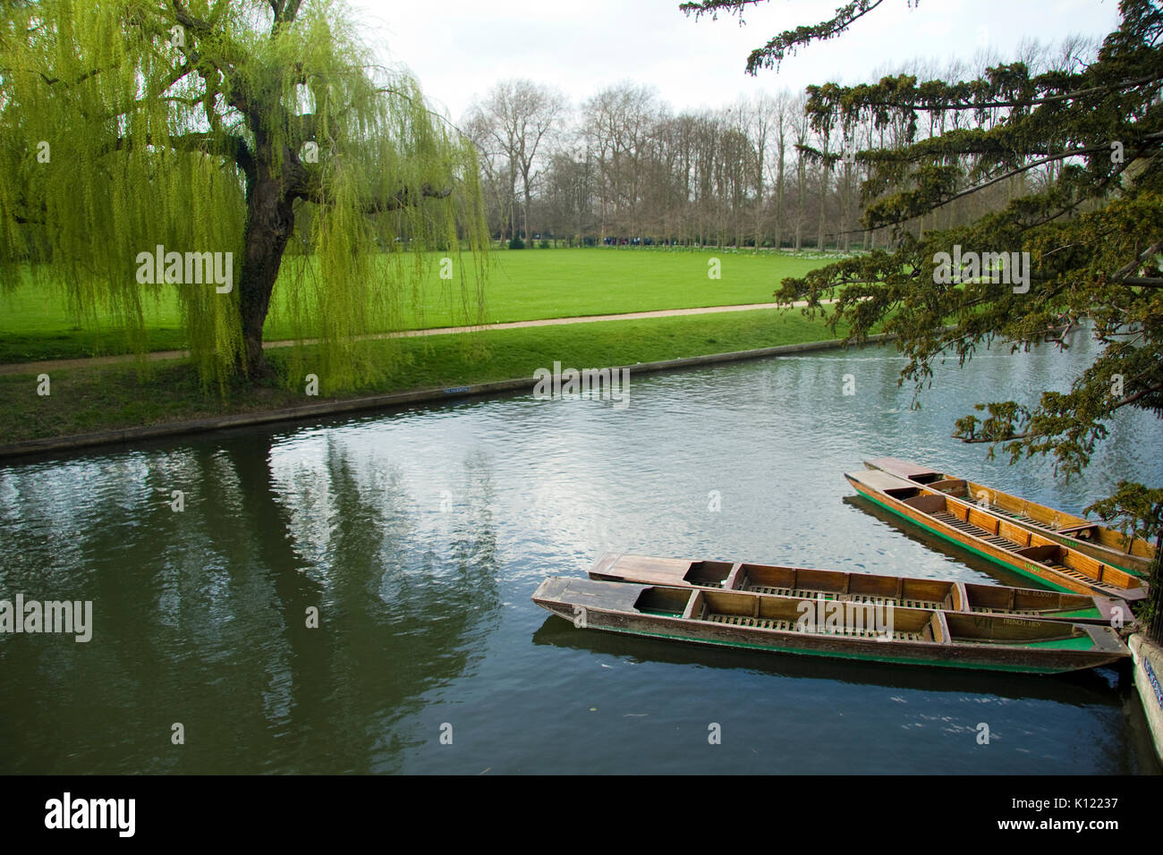 Punts on the river Cam at Cambridge University Stock Photo - Alamy