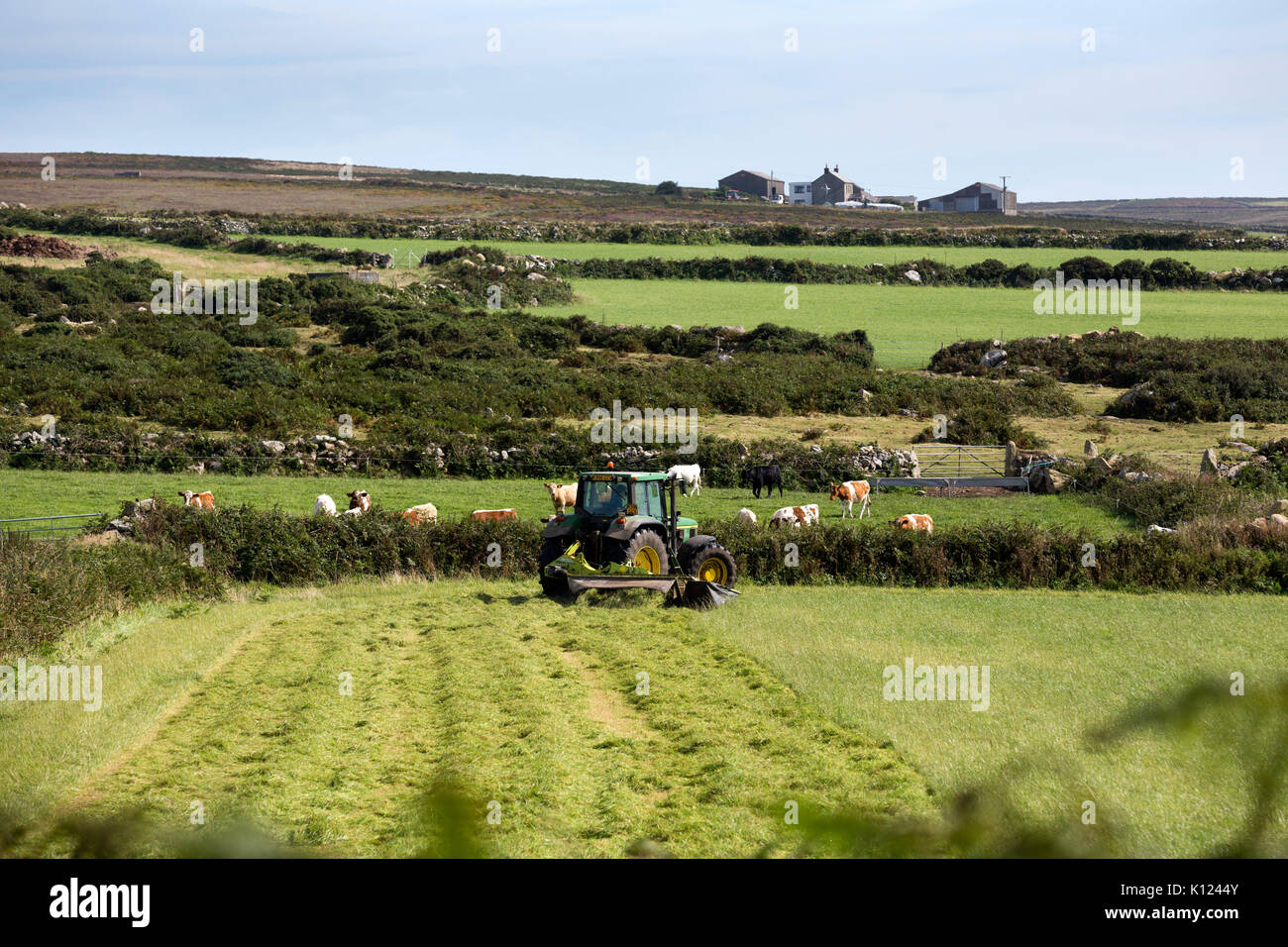 Silage cutting uk hi-res stock photography and images - Alamy