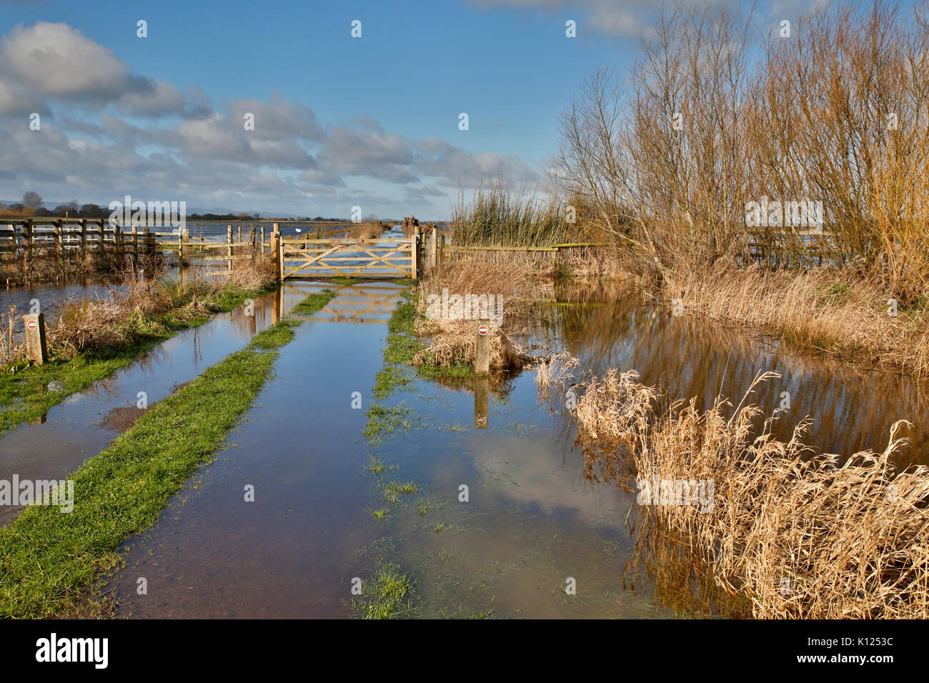 Greylake hi-res stock photography and images - Alamy