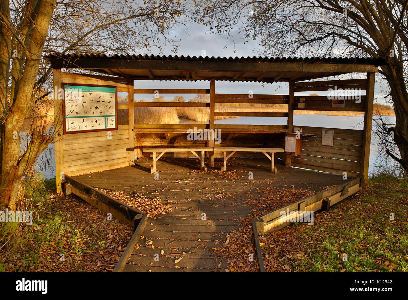 Ham Wall Hide and Notice Board Somerset; UK Stock Photo - Alamy