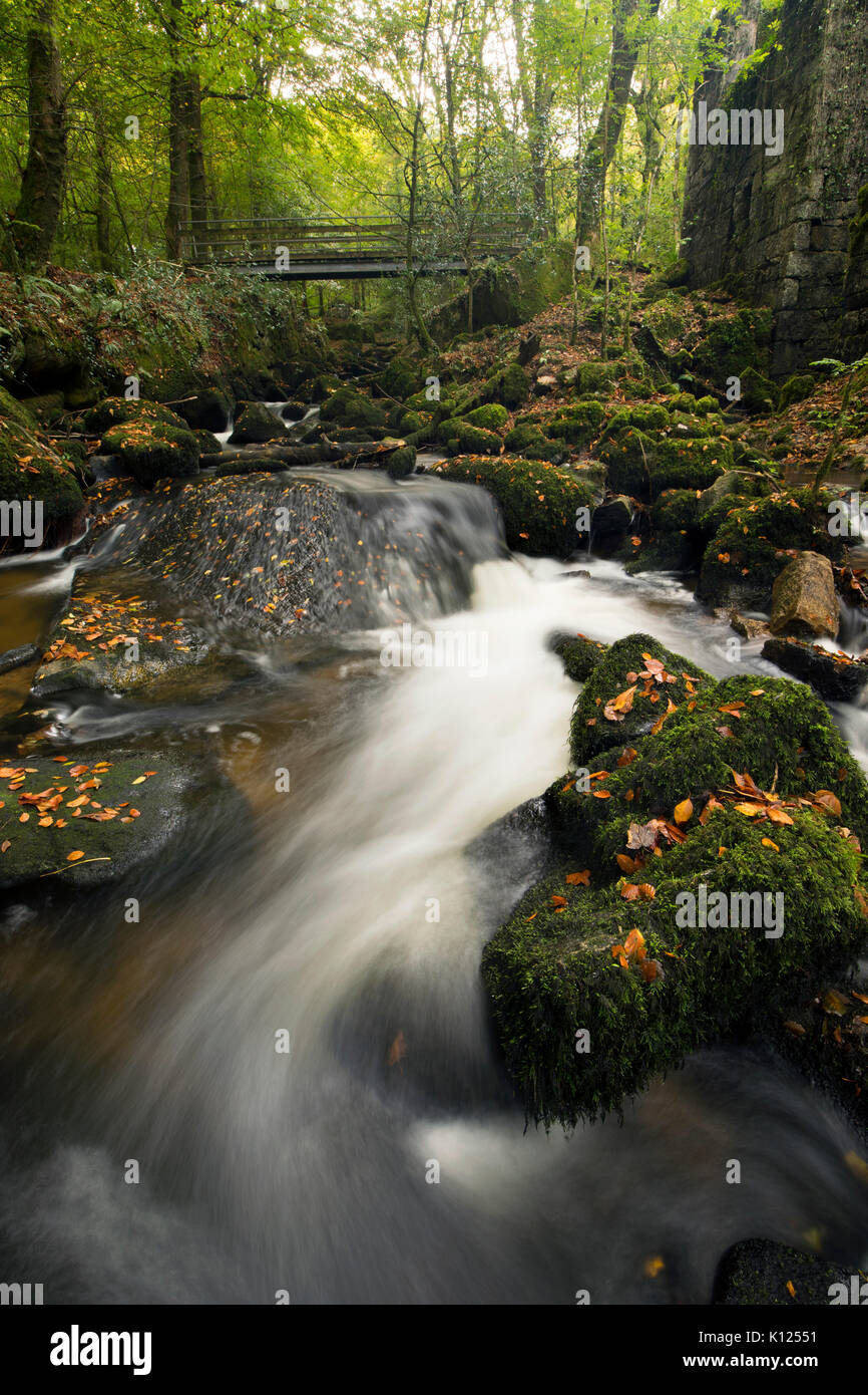 Kennall vale nature reserve hi-res stock photography and images - Alamy