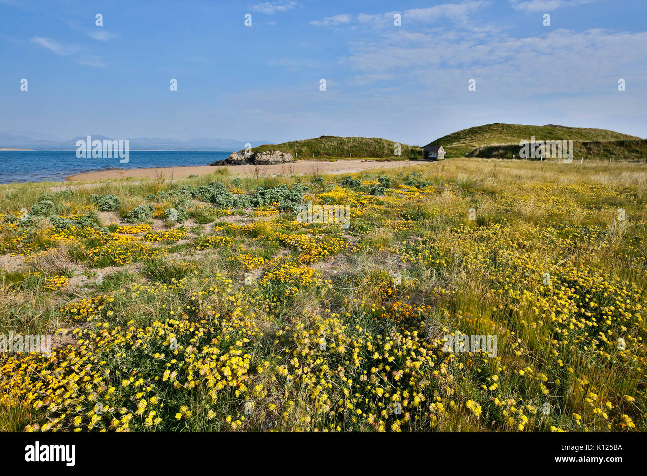 Anglesey beach hi-res stock photography and images - Alamy
