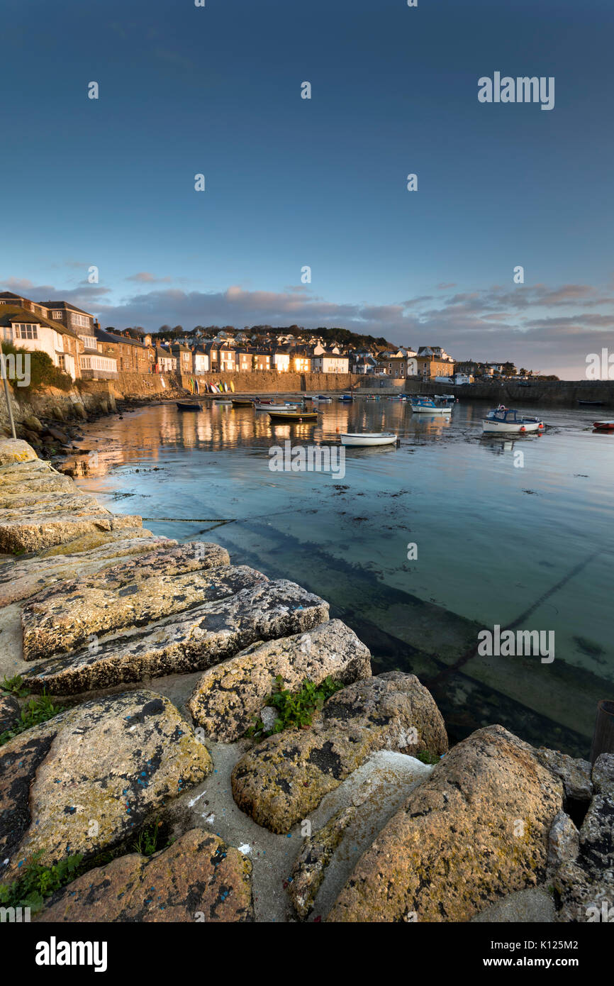 Sea mouse hi-res stock photography and images - Alamy