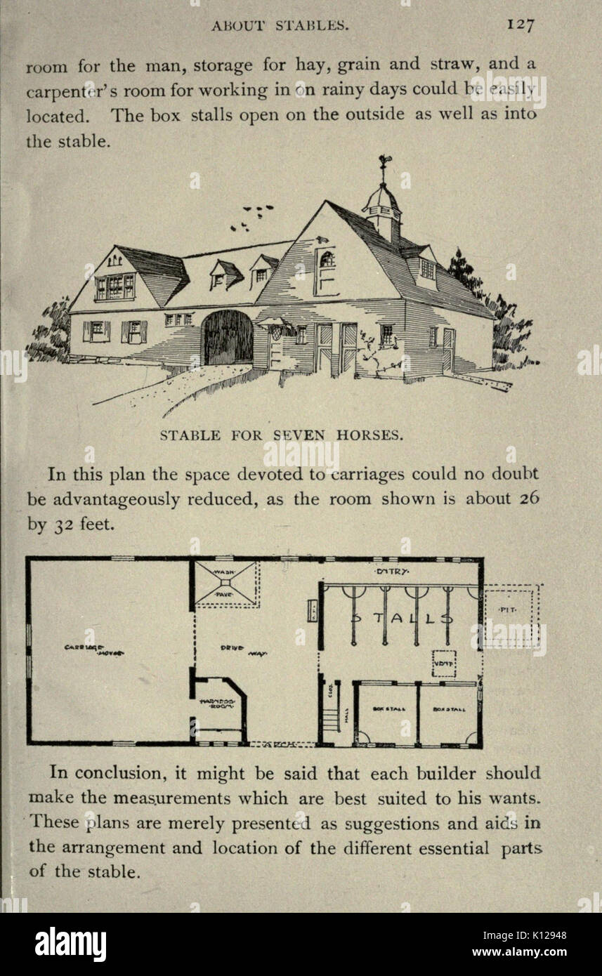 Biggle horse book (Page 127) BHL23865150 Stock Photo - Alamy