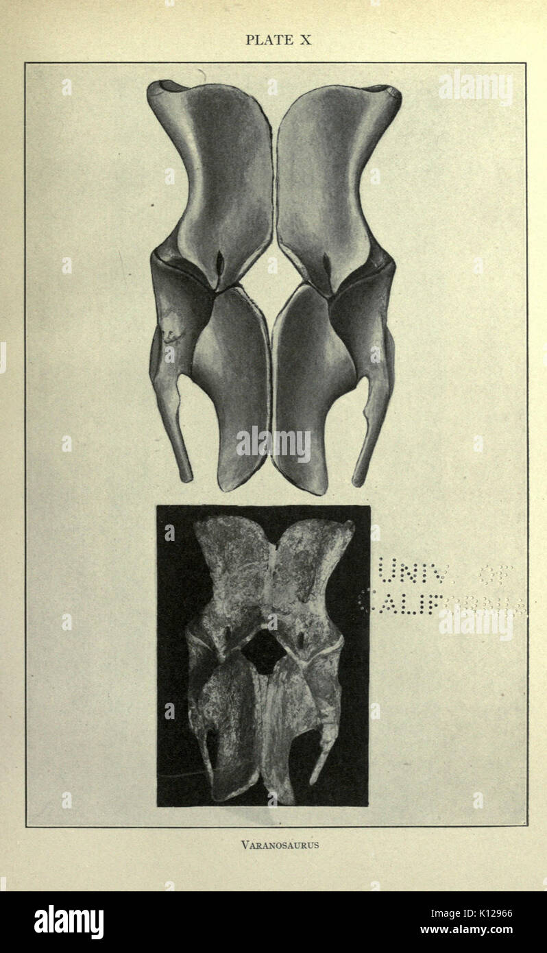 Permian painting hi-res stock photography and images - Alamy
