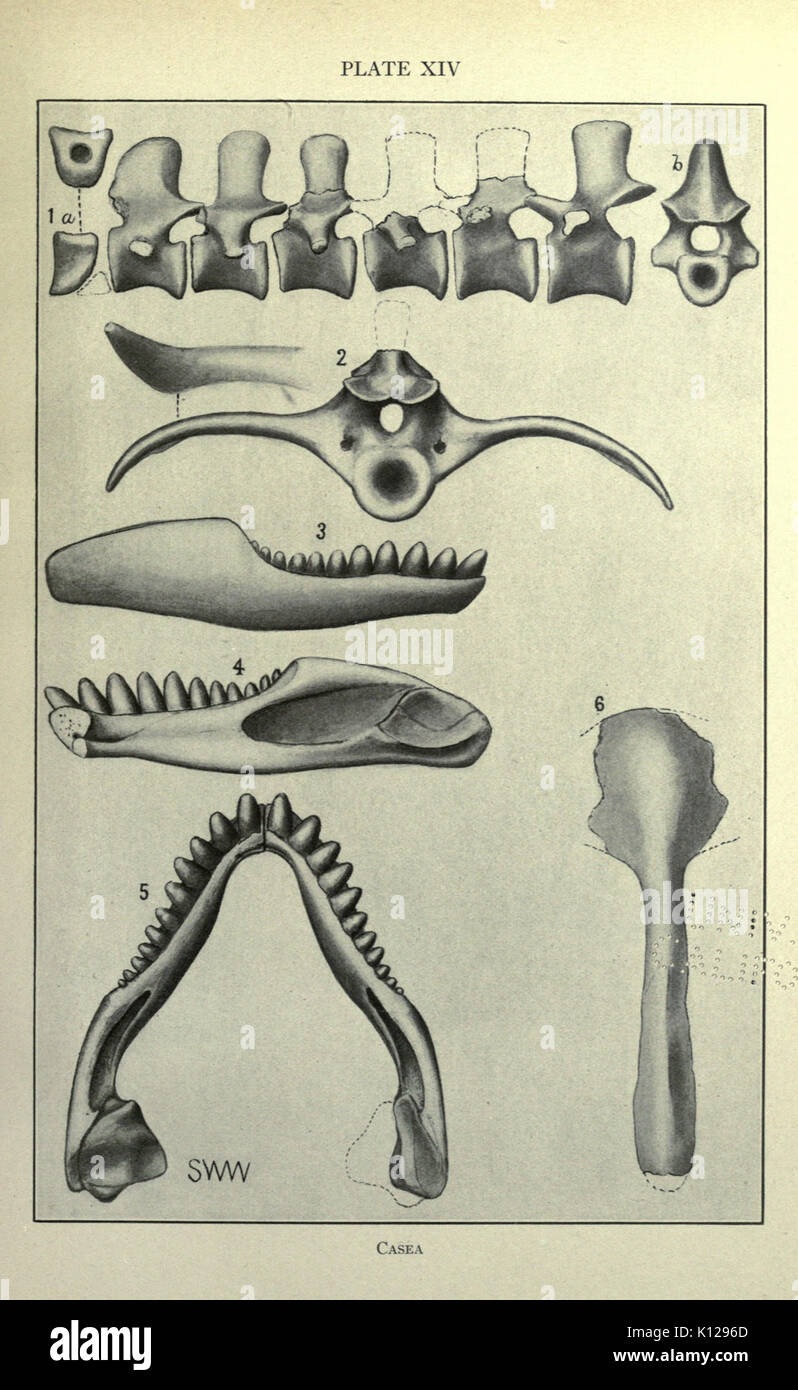 Permian painting hi-res stock photography and images - Alamy