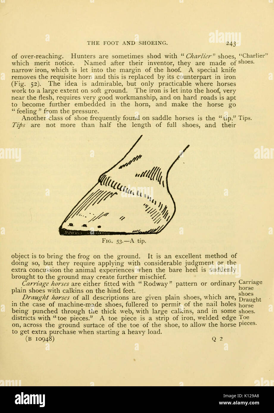 Animal management (Page 243) BHL19830740 Stock Photo - Alamy