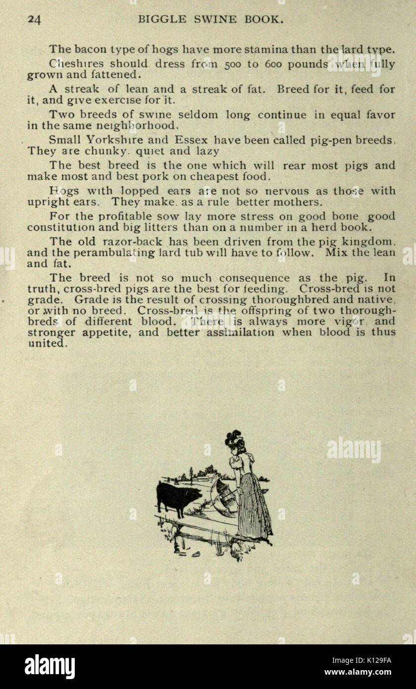 Biggles hi-res stock photography and images - Alamy