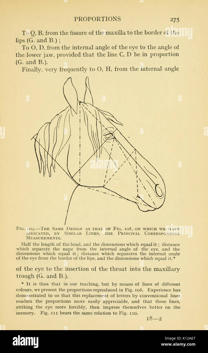 The 'Artistic Anatomy of Animals' focuses on the study of animal ...