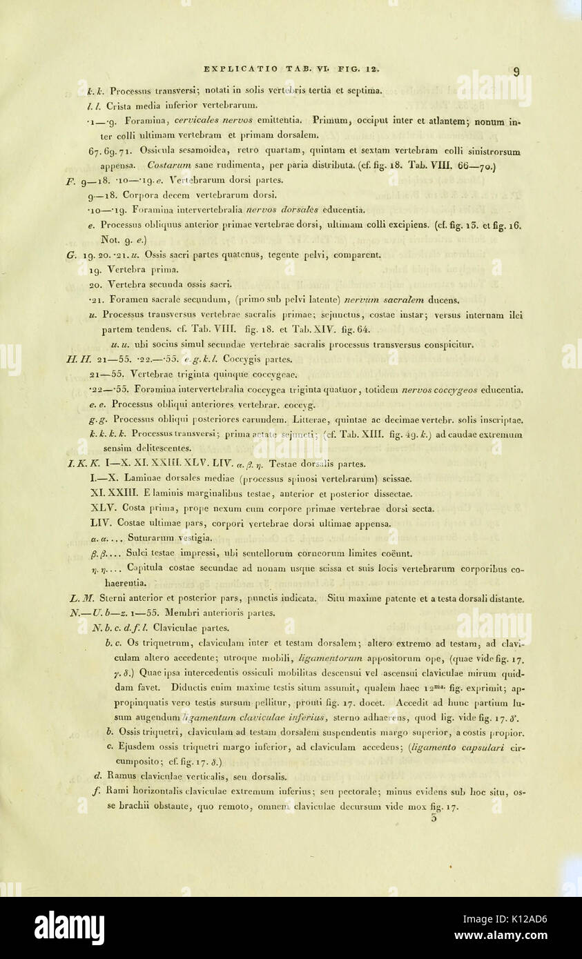 Anatome testudinis Europaeae (Page 9) BHL3271411 Stock Photo - Alamy