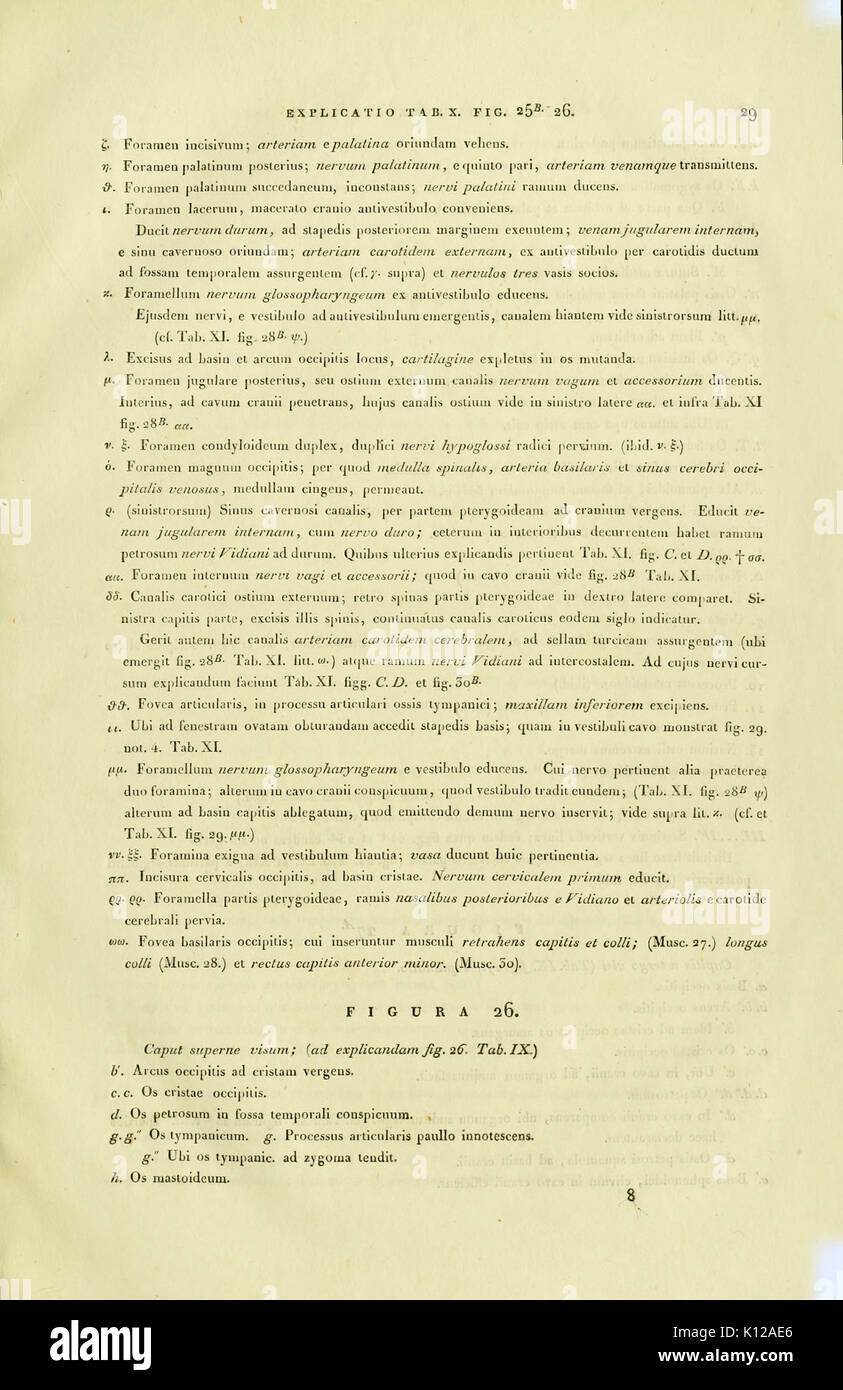 Anatome testudinis Europaeae (Page 29) BHL3271439 Stock Photo - Alamy