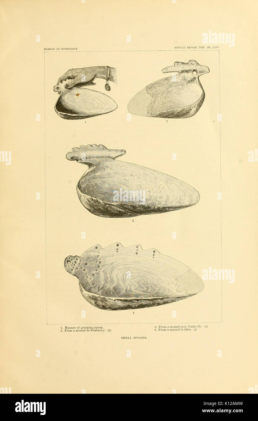Art in shell of the ancient Americans BHL11258608 Stock Photo - Alamy