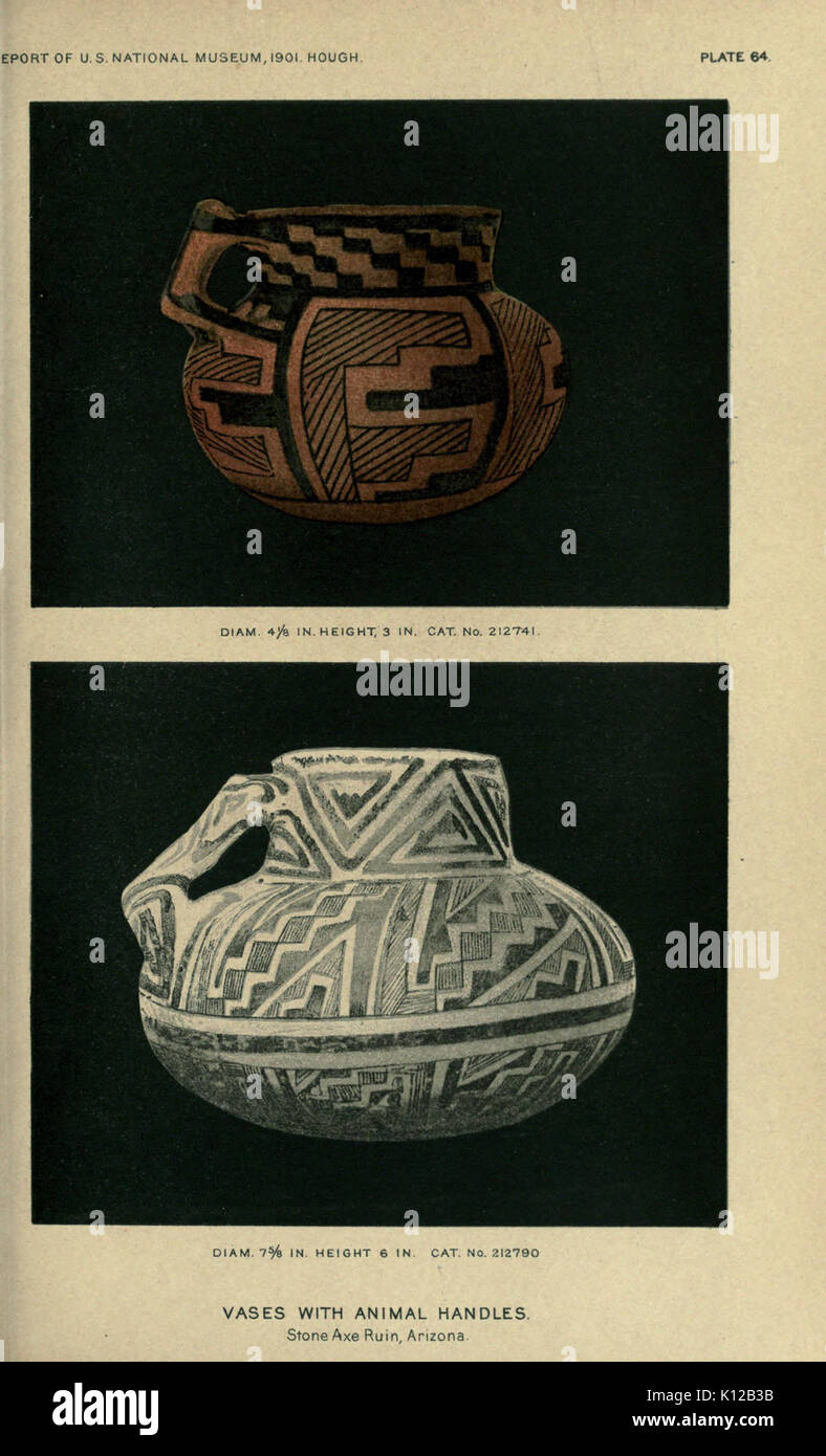 Archeological field work in northeastern Arizona. The Museum Gates ...