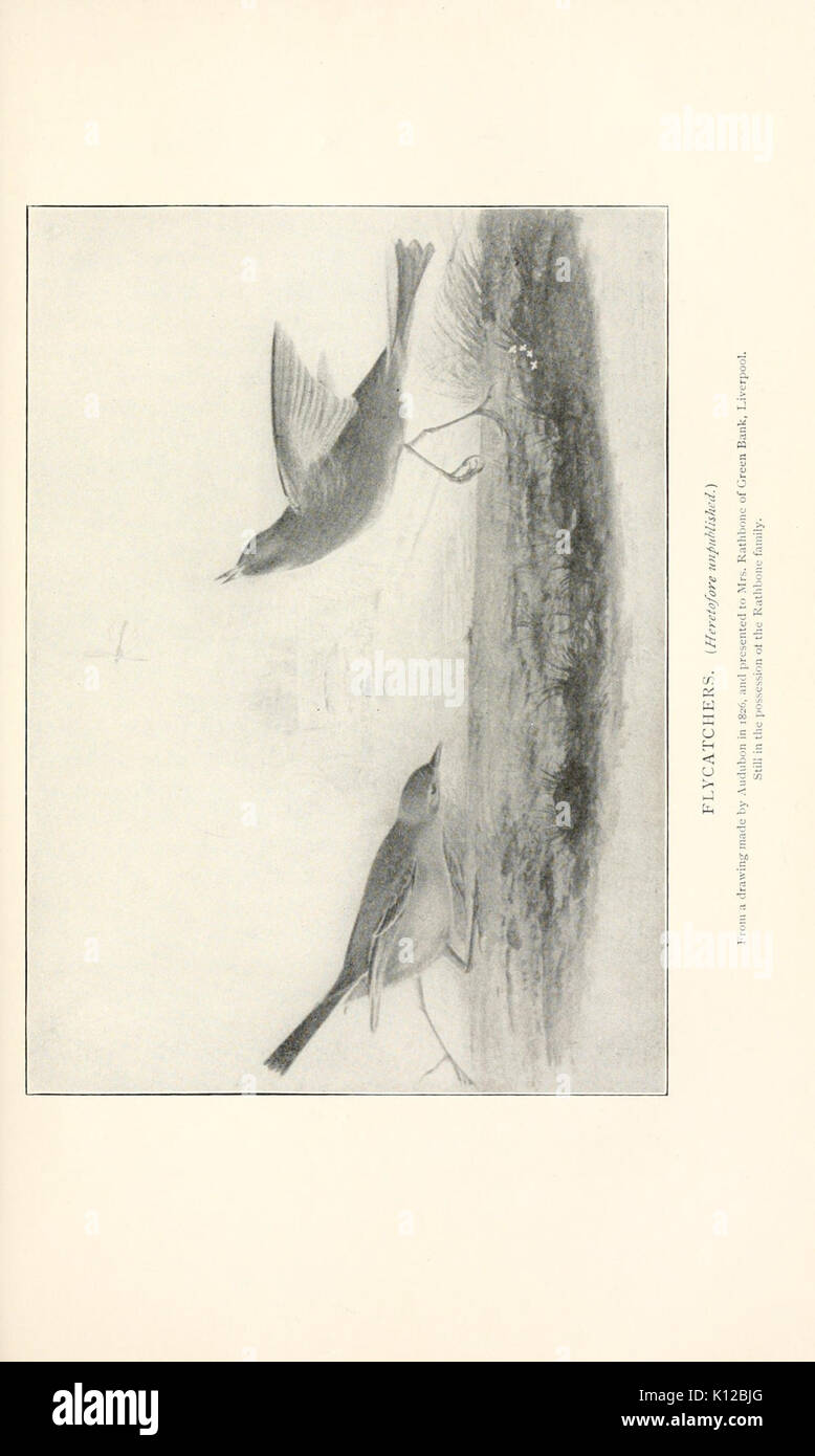 Audubon and his journals hi-res stock photography and images - Alamy