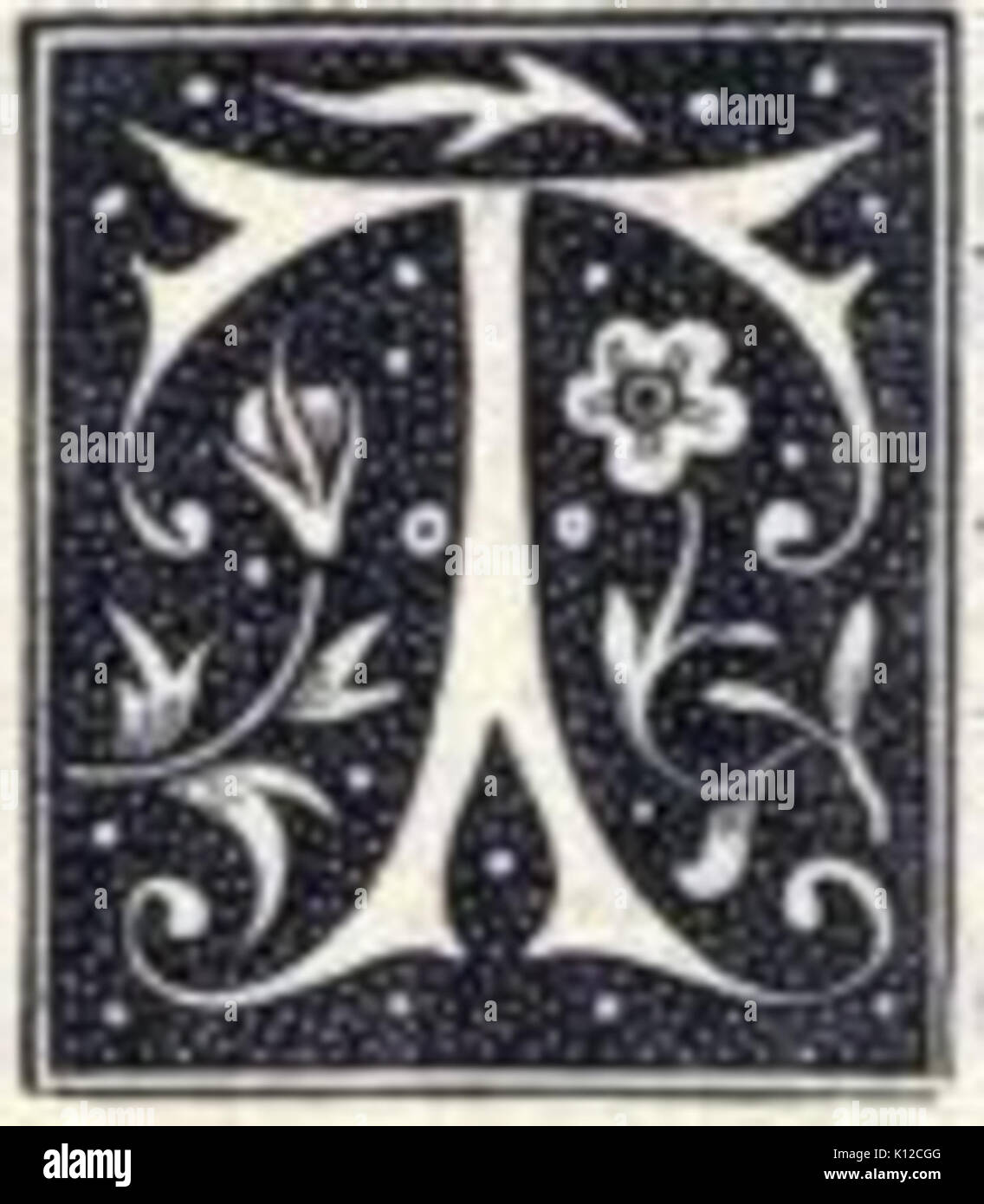 Boudoir of 19th century home hi-res stock photography and images - Alamy