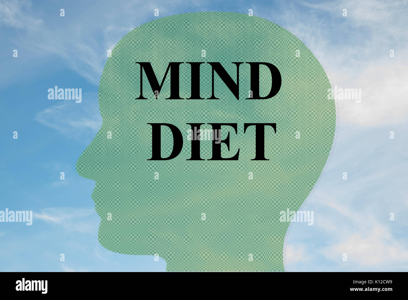 Render illustration of "MIND DIET" title on head silhouette, with ...