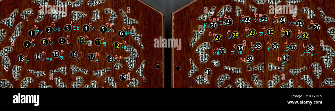 Anglo german concertina ton Stock Photo - Alamy