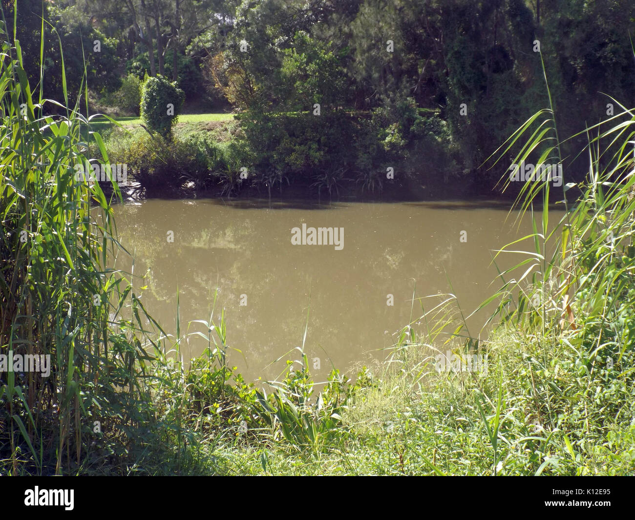 Map of queensland illustration hi-res stock photography and images - Alamy
