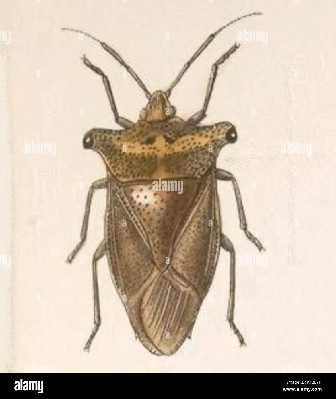 Abrupta hi-res stock photography and images - Alamy