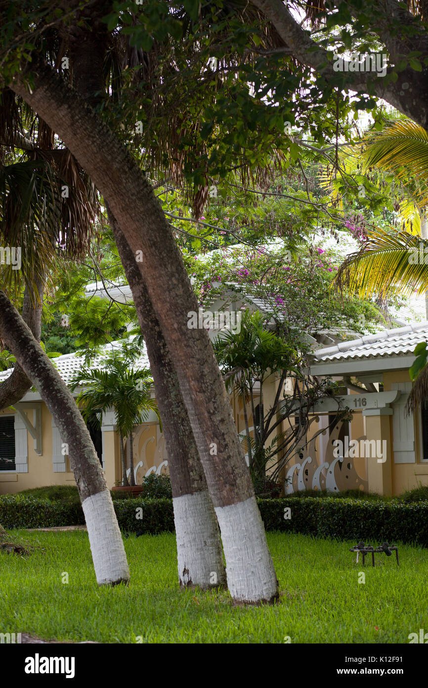 Homes on Anna Maria Island, Florida Stock Photo - Alamy