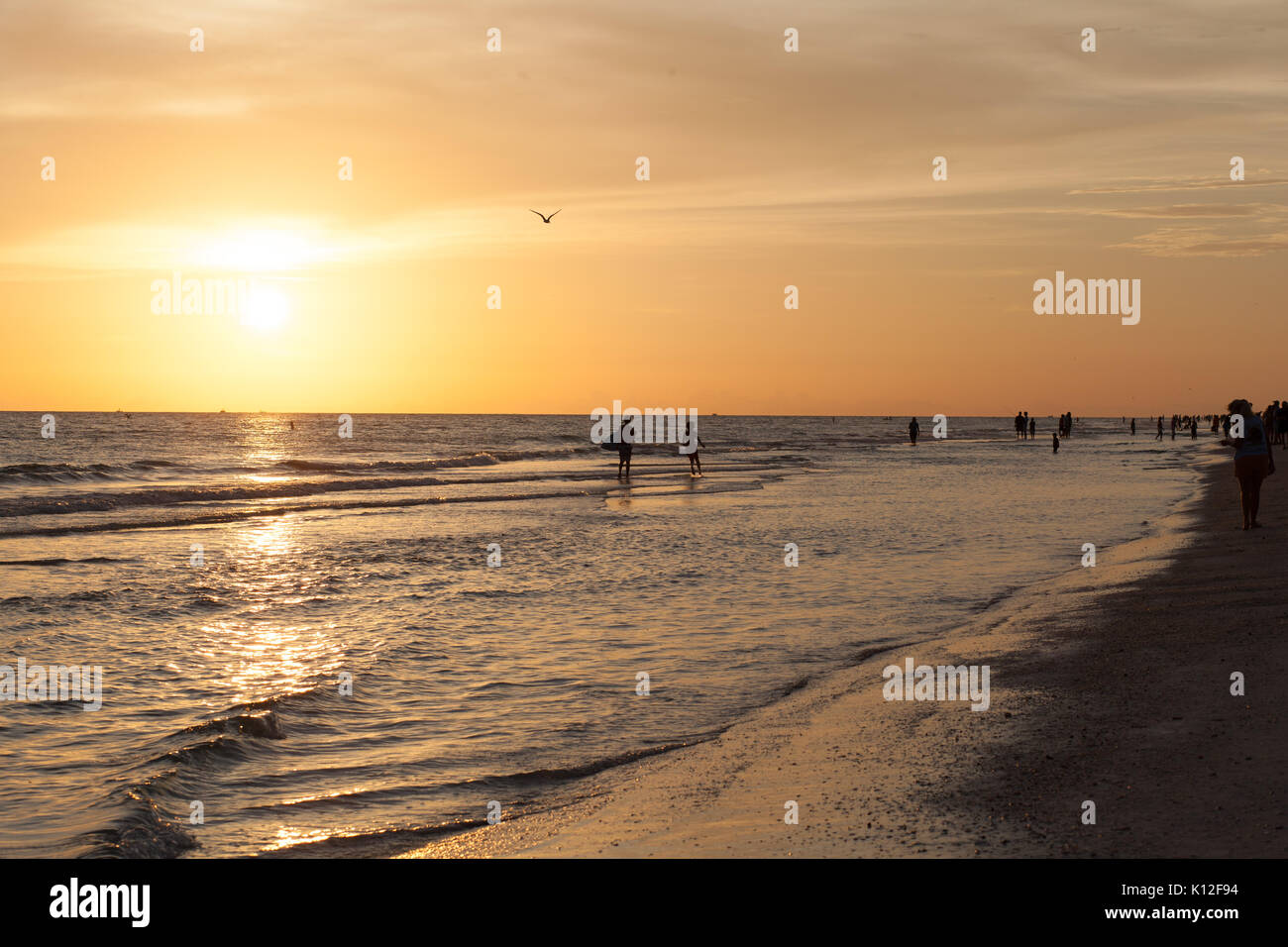 Sunset on Anna Maria Island, Florida Stock Photo - Alamy
