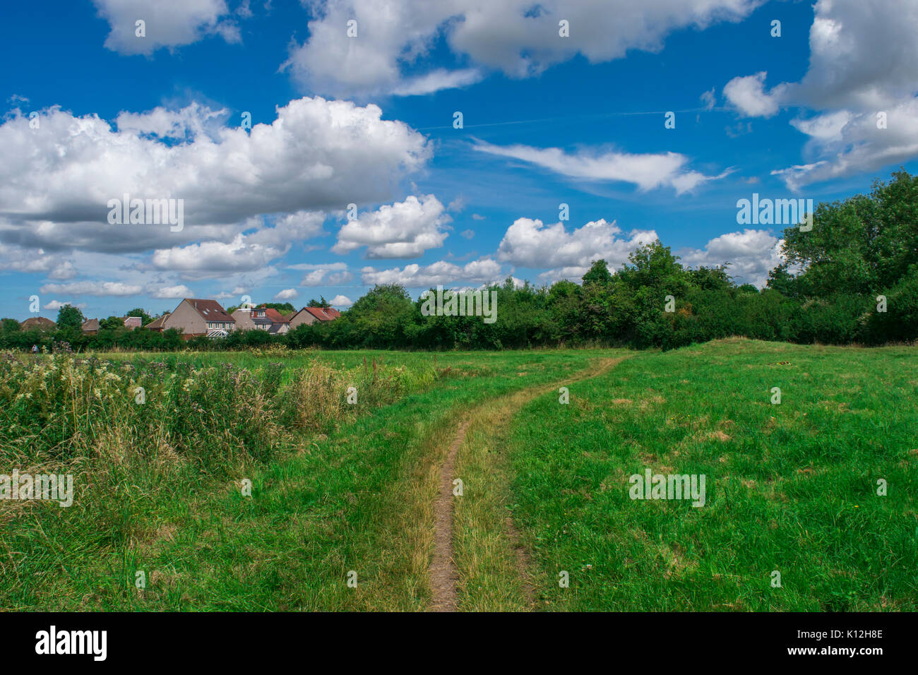 Spring nature, landscape Stock Photo - Alamy
