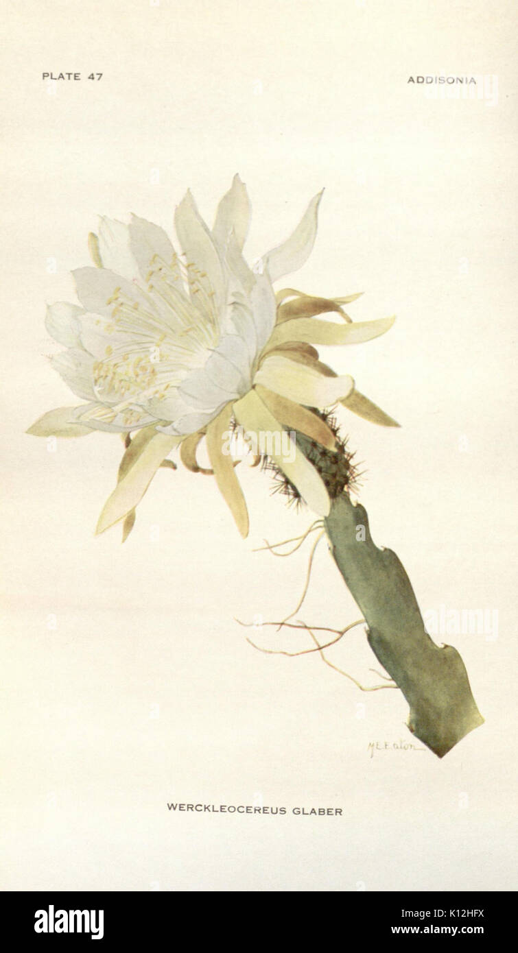 Rare scientific prints hi-res stock photography and images - Alamy