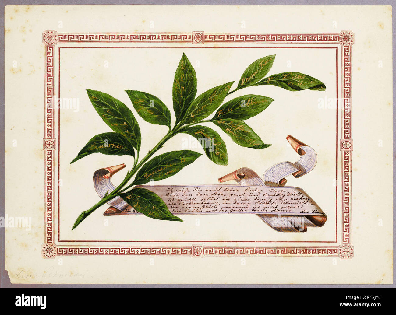 Album Amicorum (22488393896 Stock Photo - Alamy