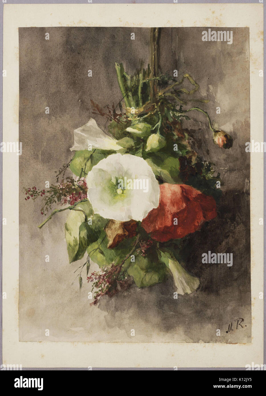 Album Amicorum (21891635534 Stock Photo - Alamy