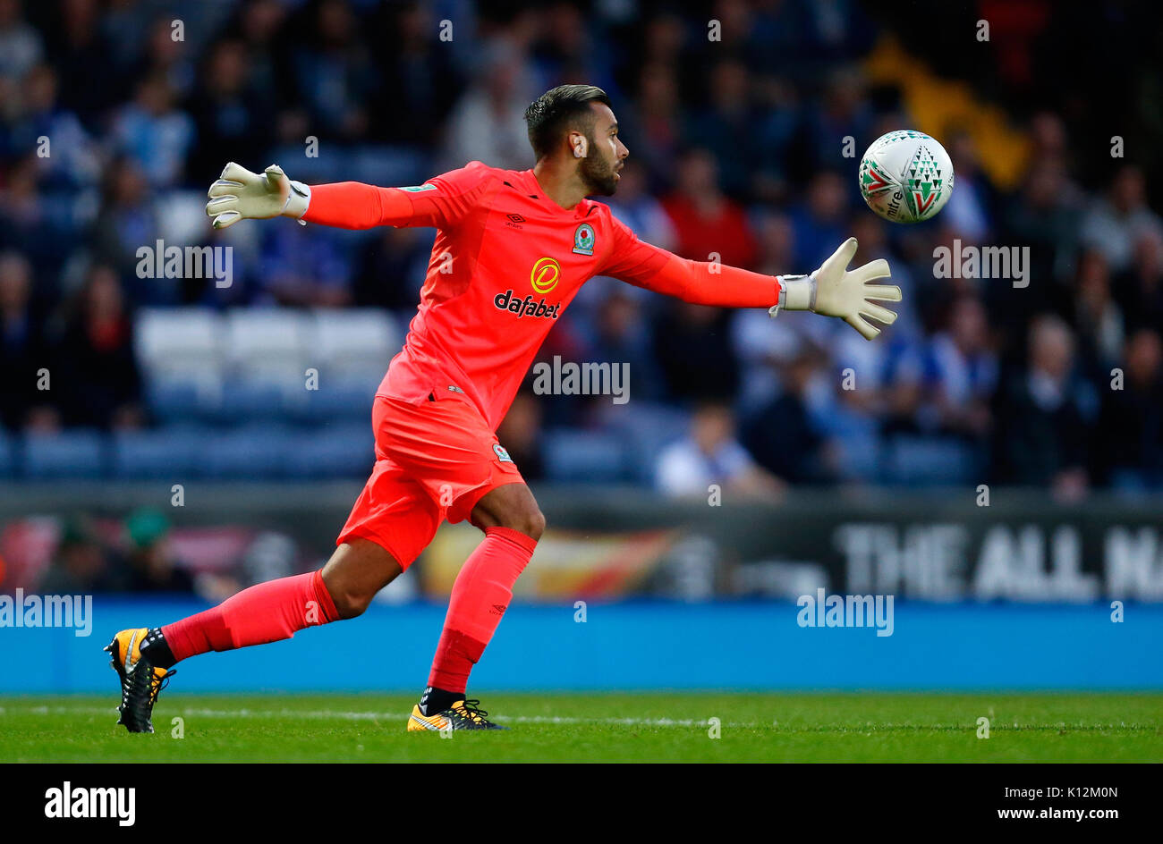 Blackburn Rovers goalkeeper David Raya Stock Photo - Alamy