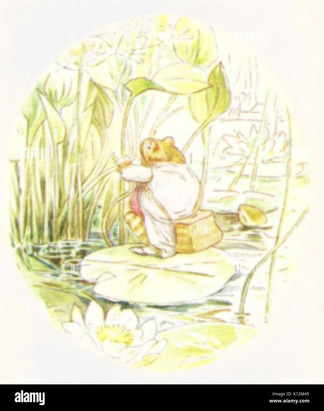 Jeremy fisher drawing hi-res stock photography and images - Alamy