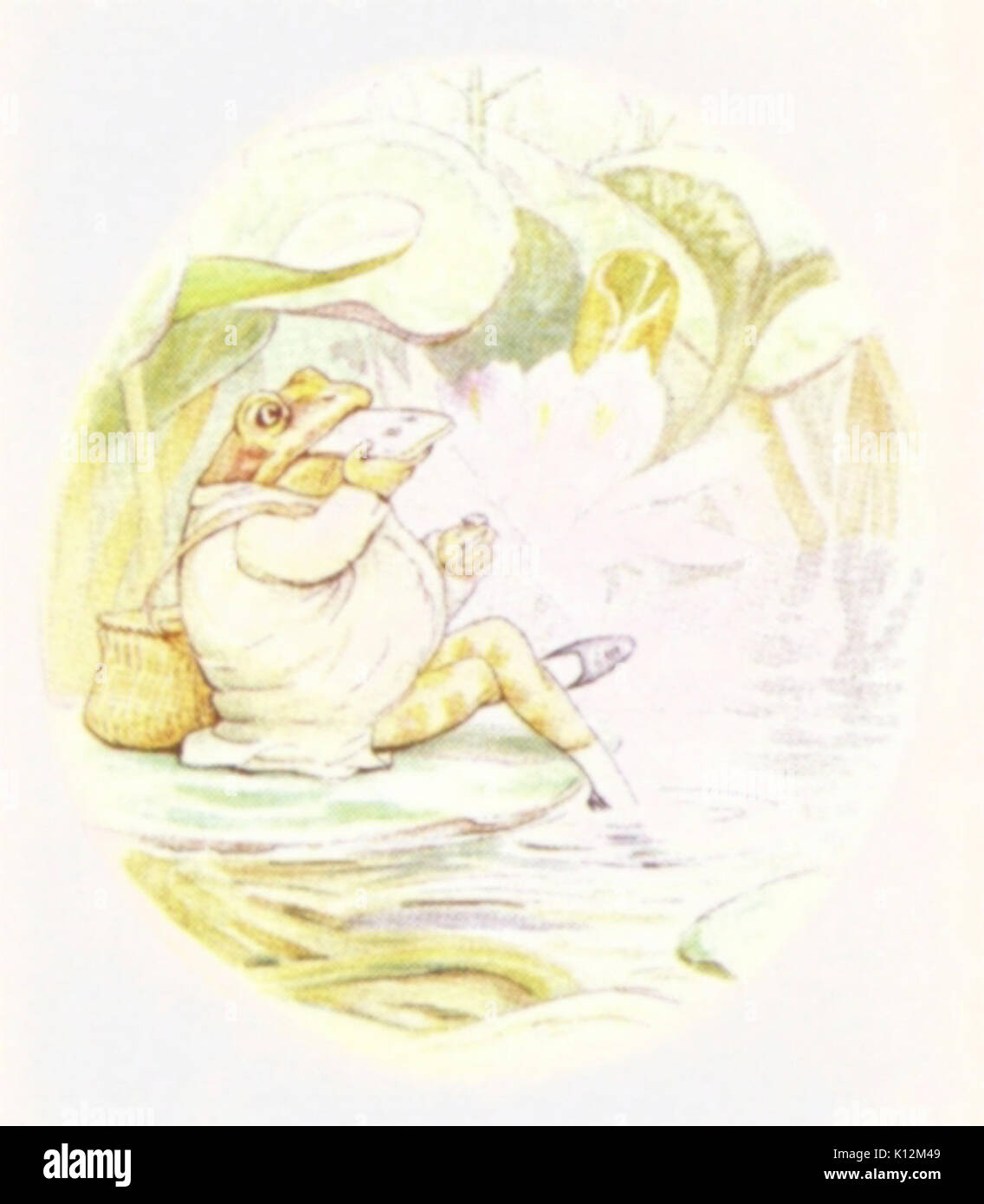 Jeremy fisher drawing hi-res stock photography and images - Alamy